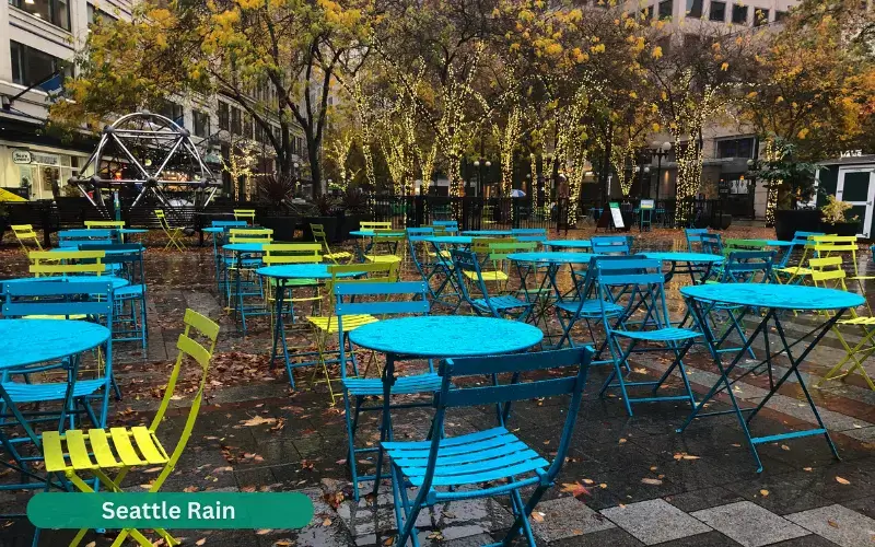 45+ Most Interesting Fun Facts About Seattle, Washington